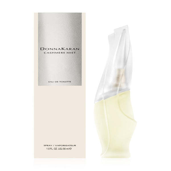 Buy DKNY Donna Karan Cashmere Mist (Eau De Toilette) 100ML EDT Spray (W ...